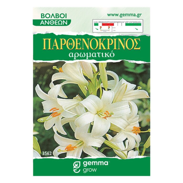 ΣΠΟΡΟΙ-ΒΟΛΒΟΙ - Geosupplies